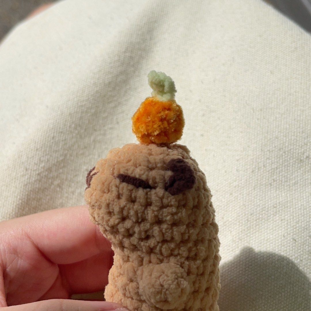 crochet capybara with orange / lotus, Hobbies & Toys, Stationery ...