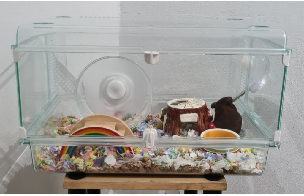 Gex glass harmony 450 high hamster cage, Pet Supplies, Homes & Other Pet Accessories on Carousell