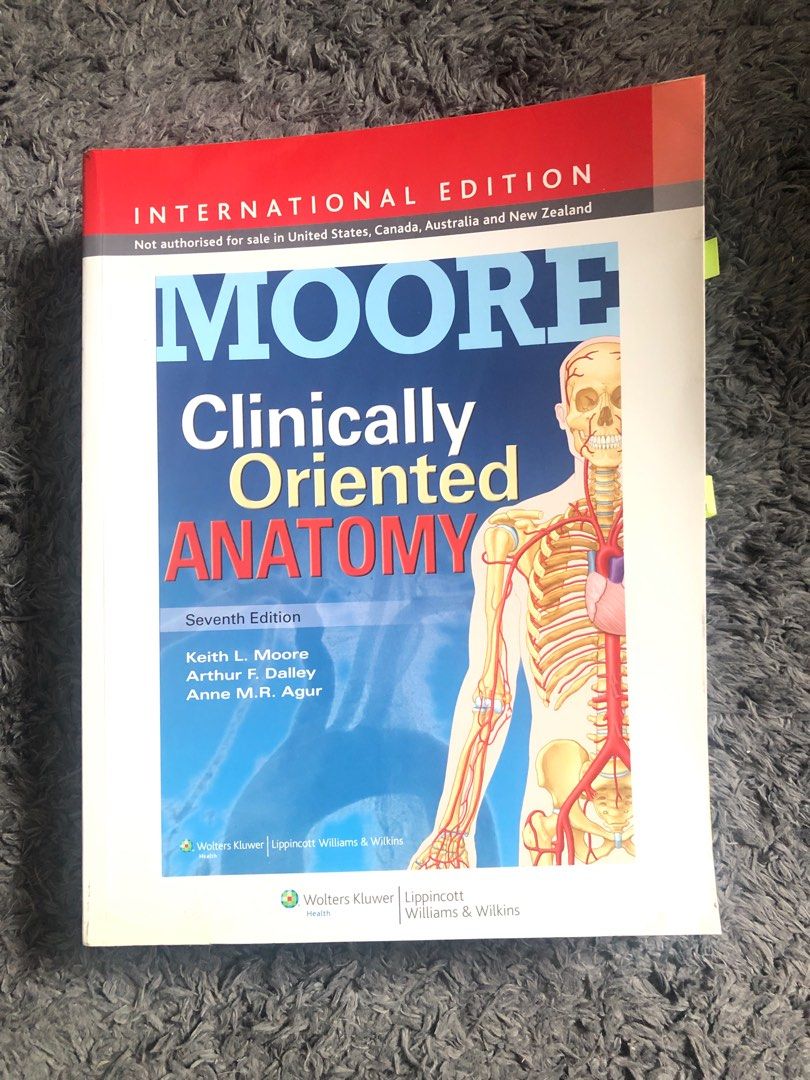 Moore Clinically Oriented Anatomy 7th Ed Hobbies Toys Books