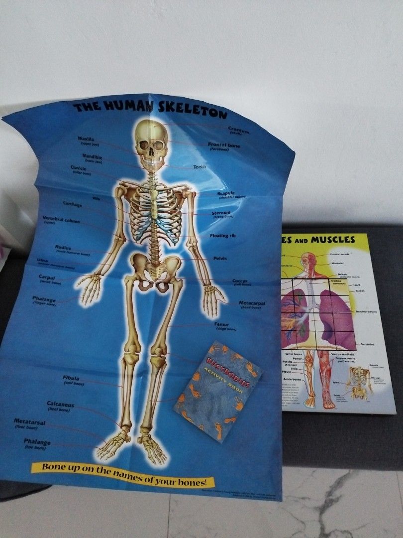 Preloved TIME LIFE big block body world atlas, Hobbies & Toys, Books ...