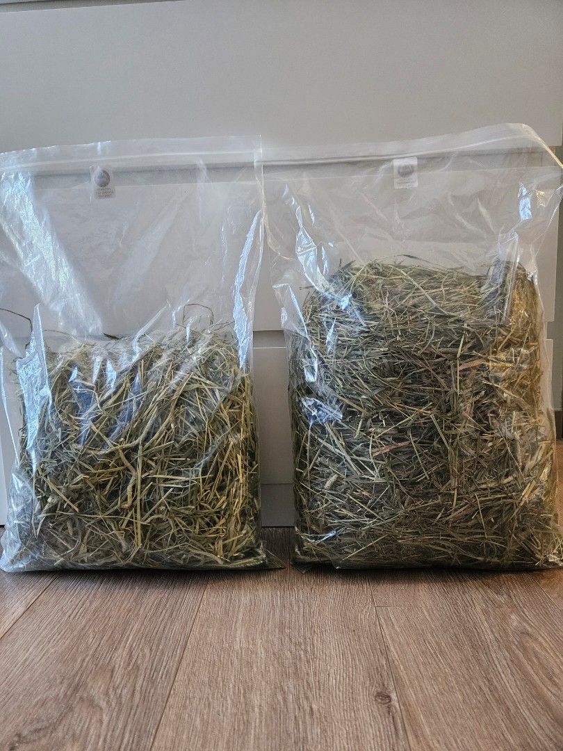 Premium Timothy Hay 500g per bag (One and half bag), Pet Supplies, Pet ...