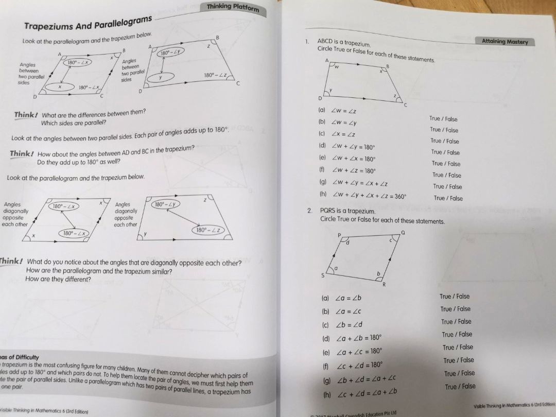 Visible Thinking in Maths Primary 6 P6 PSLE, Hobbies & Toys, Books ...