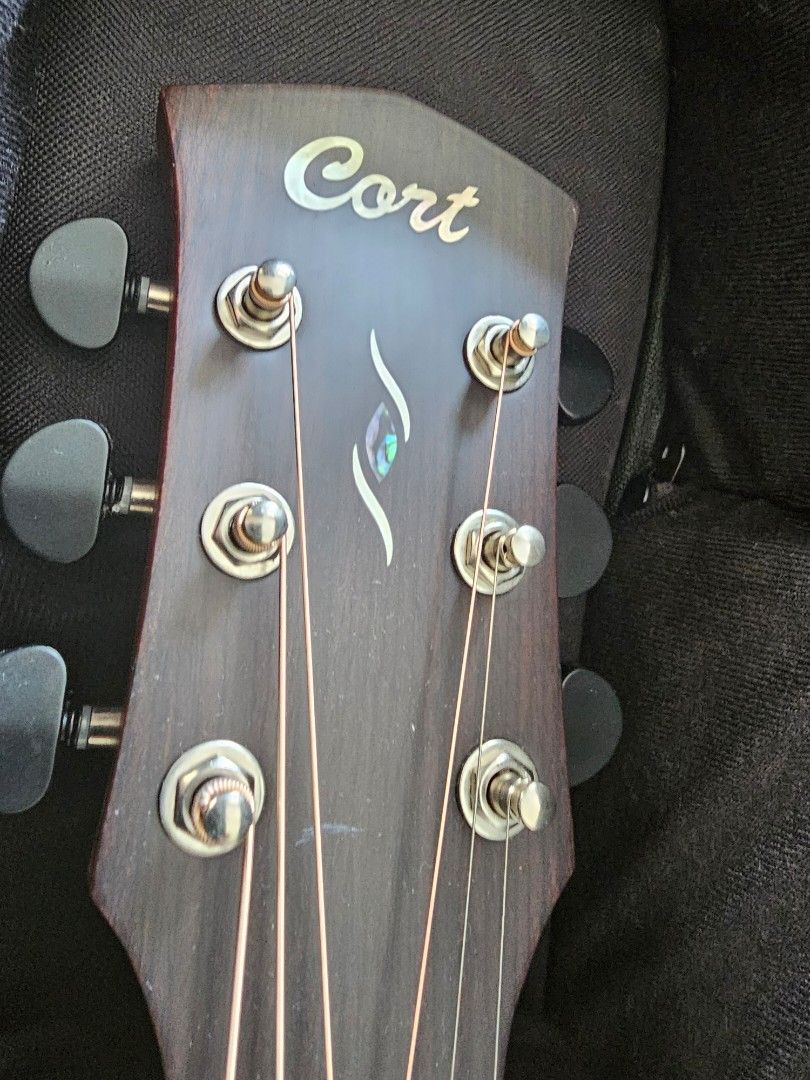 Cort full solid blackwood core series, Hobbies & Toys, Music & Media ...