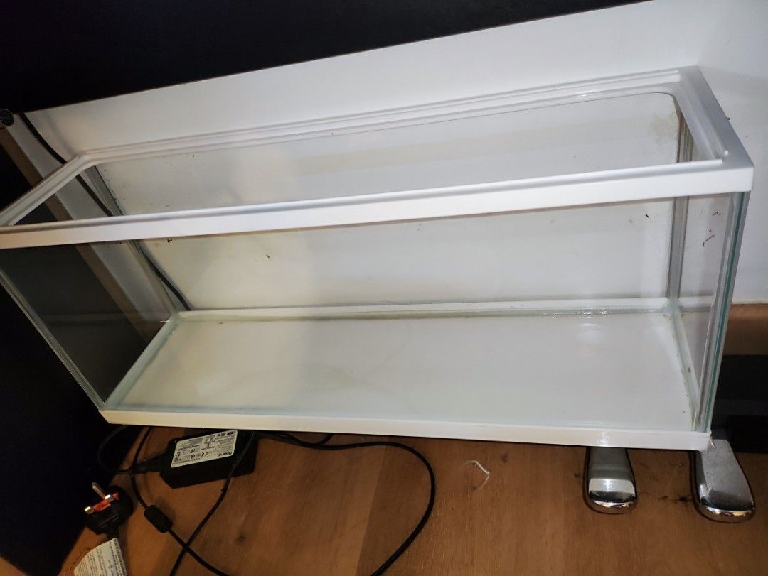 Gex Deskboy 600 with FOC accessories, Pet Supplies, Homes & Other Pet Accessories on Carousell