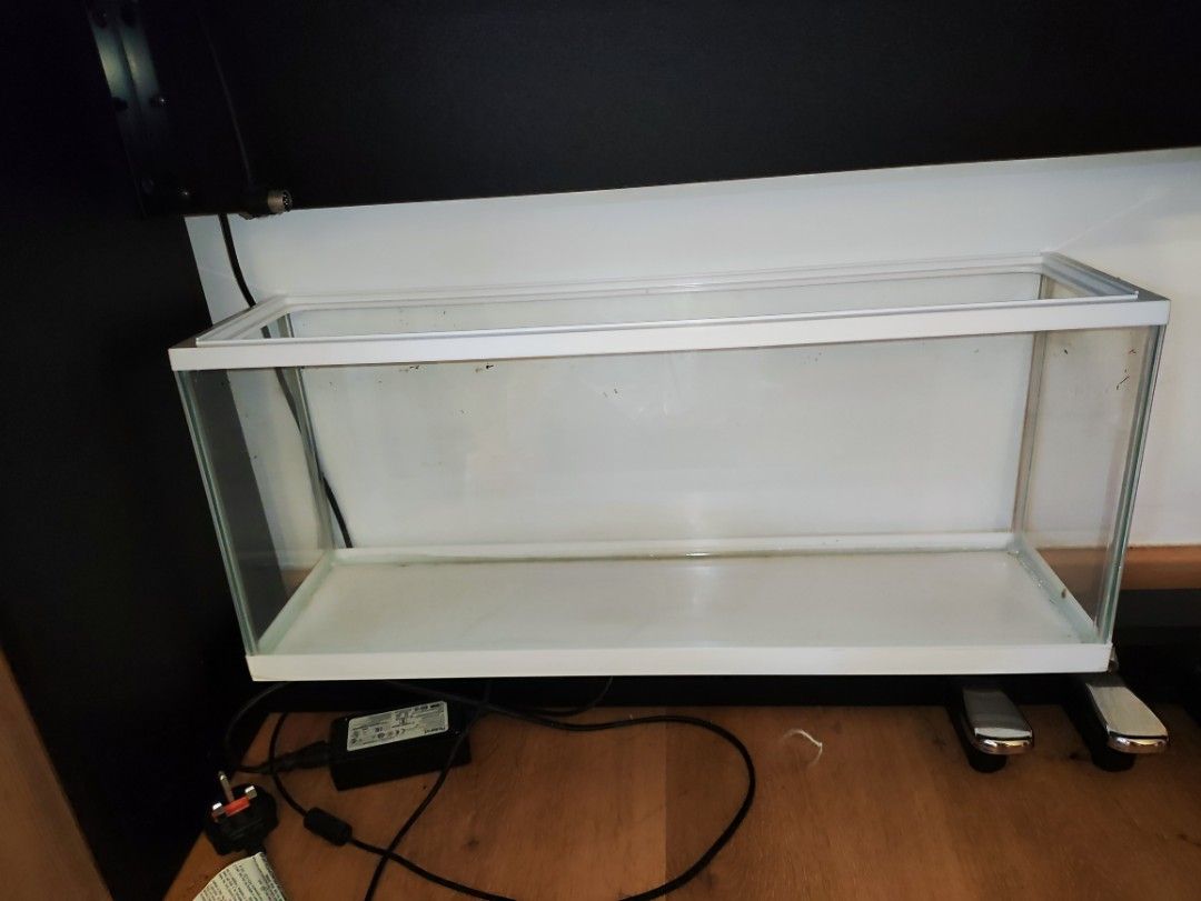 Gex Deskboy 600 with FOC accessories, Pet Supplies, Homes & Other Pet Accessories on Carousell