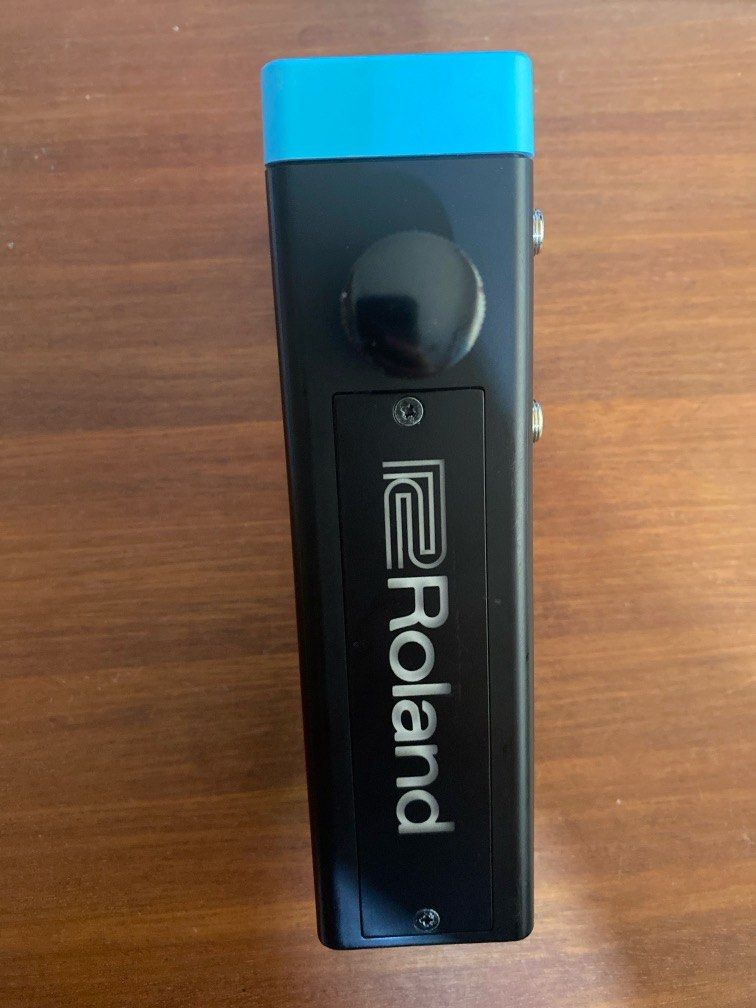 Roland RT-MicS Mic Trigger Processor, Hobbies & Toys, Music & Media ...