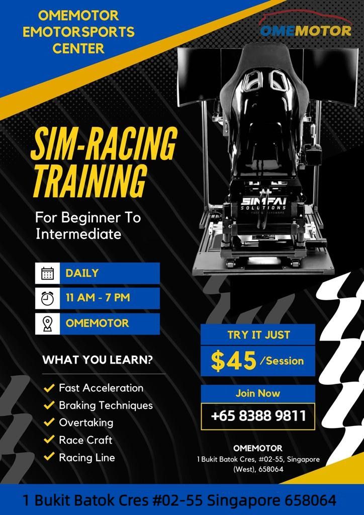 SIM-RACING TRAINING, Car Accessories, Accessories on Carousell