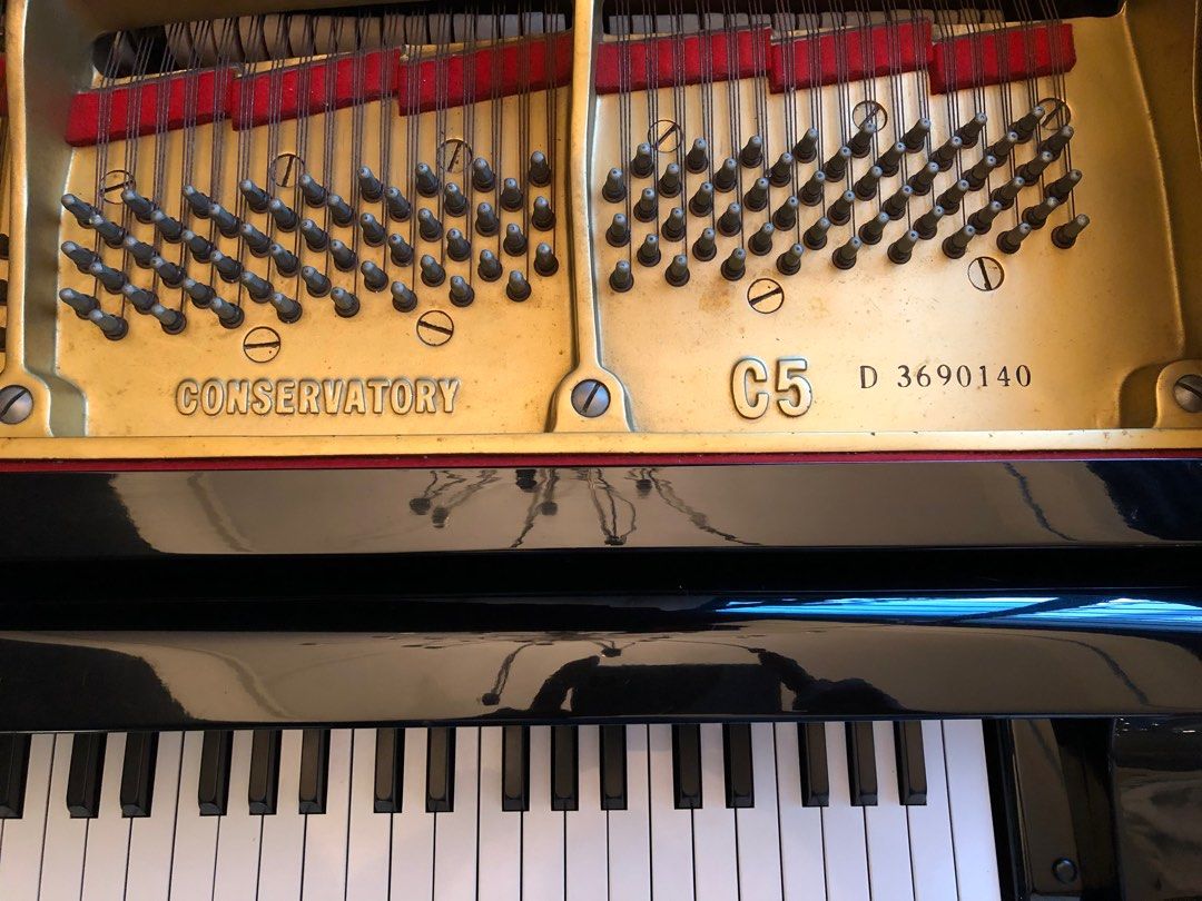 Yamaha C5 Conservatory Grand Piano Neg, Hobbies & Toys, Music & Media ...