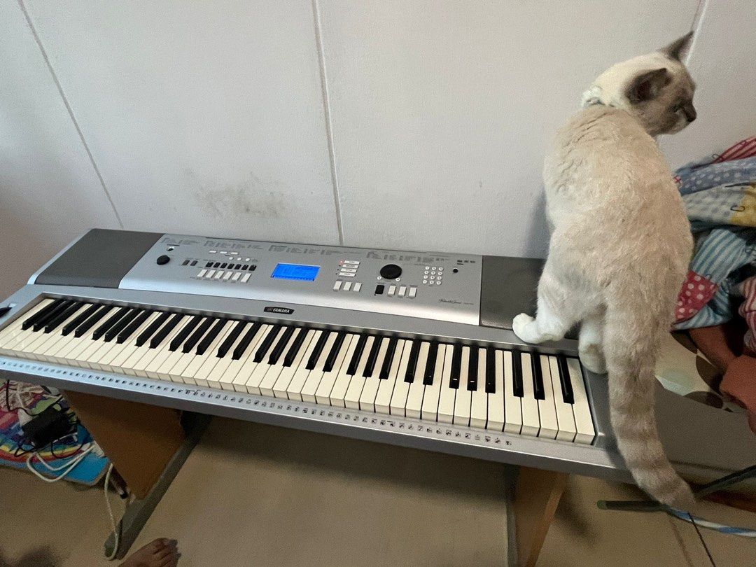 Yamaha Keyboard, Hobbies & Toys, Music & Media, Musical Instruments on ...