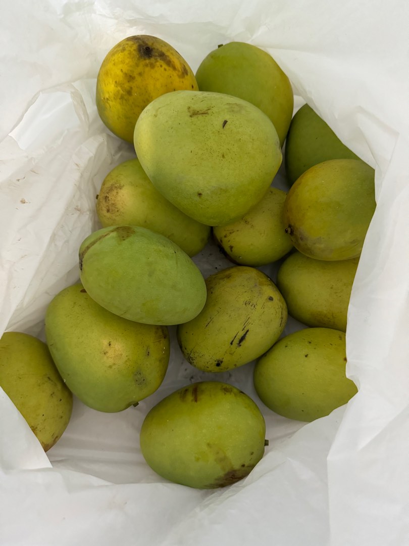 14 small mangoes , Food & Drinks, Fresh Produce on Carousell