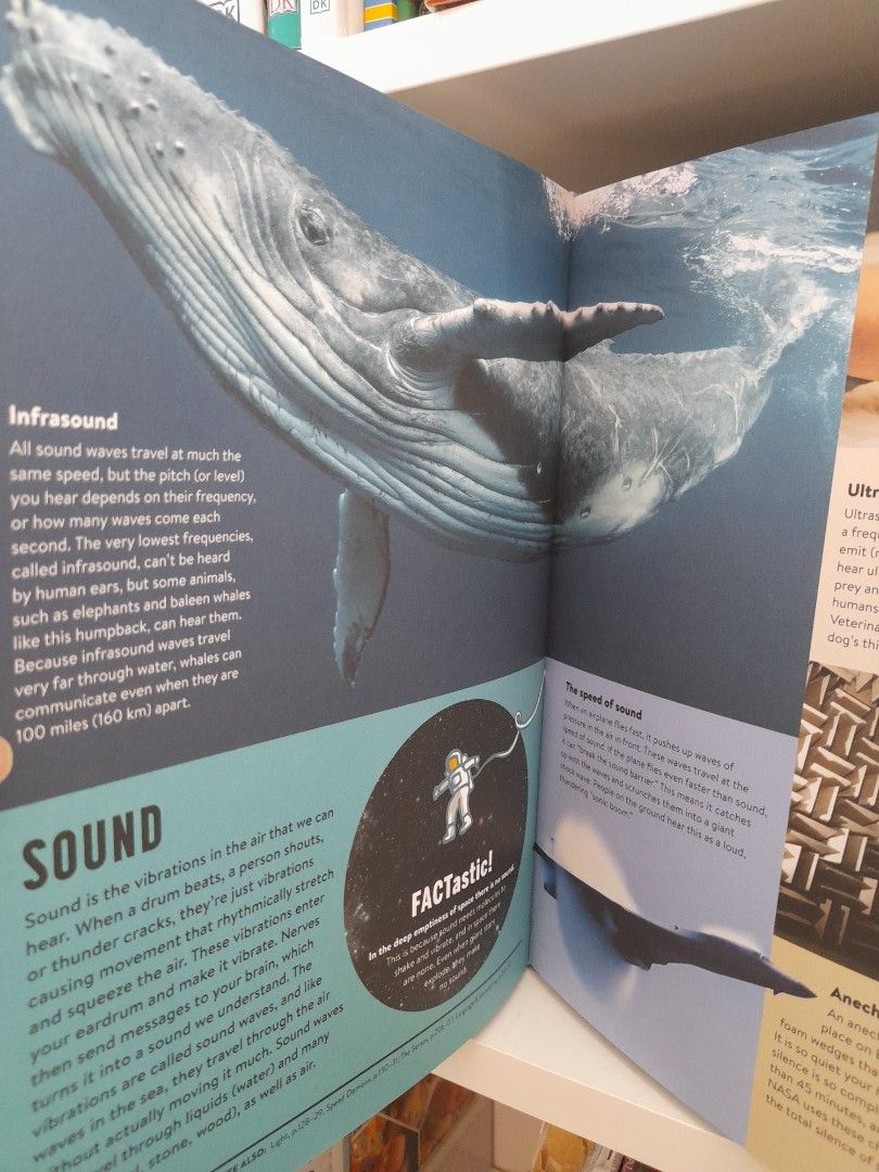 Britannica Kids Encyclopedia, Hobbies & Toys, Books & Magazines ...