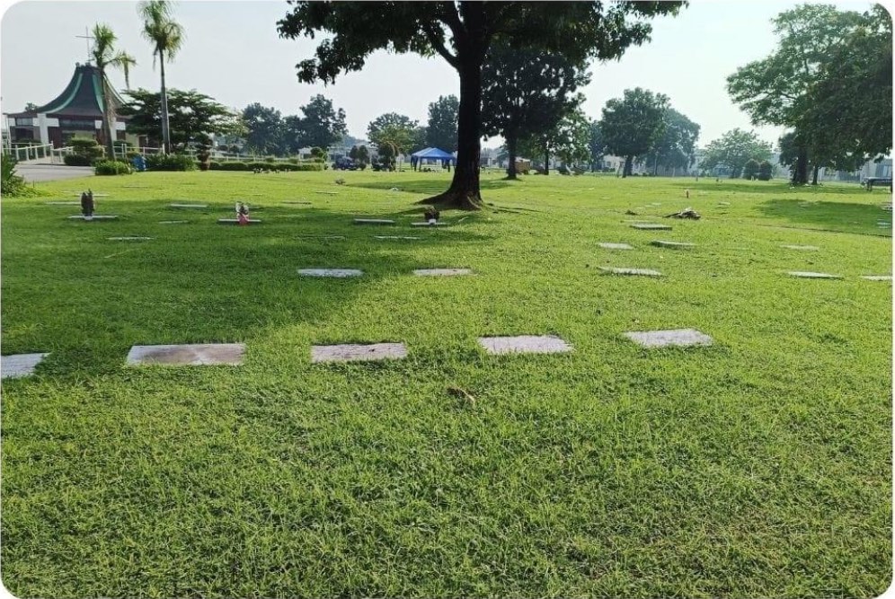 lawn lot eternal garden - View all lawn lot eternal garden ads in ...