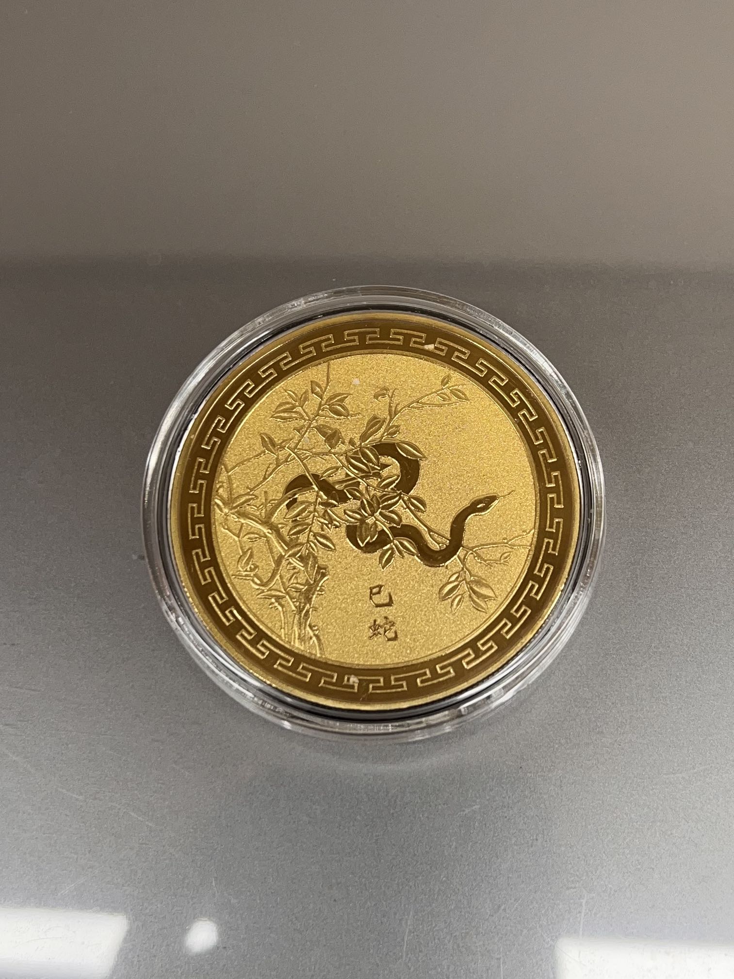 Funclaw Chinese Zodiac Coin - Snake, Hobbies & Toys, Memorabilia ...