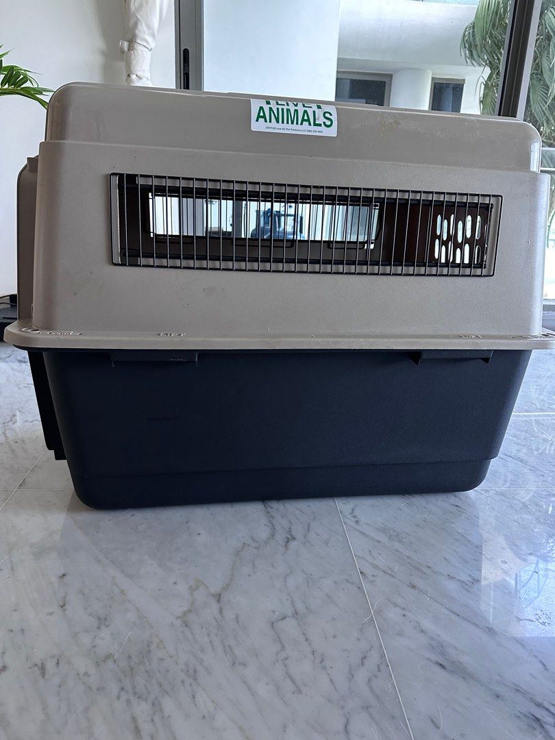 IATA approved Intermediate Dog Crate, Pet Supplies, Homes & Other Pet ...