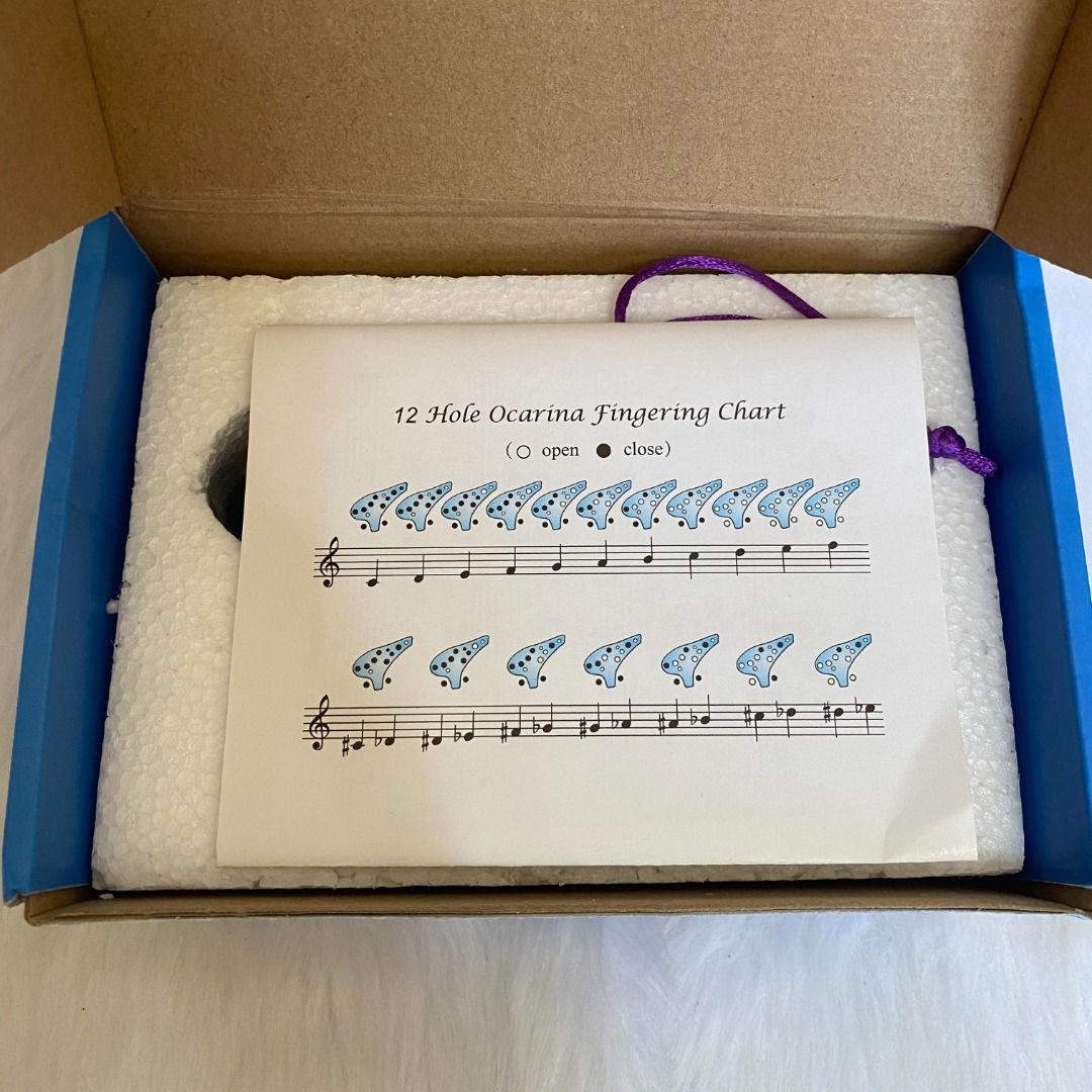 Legend of Zelda Ocarina 12 Hole Ocarina Musical Instrument, Hobbies ...