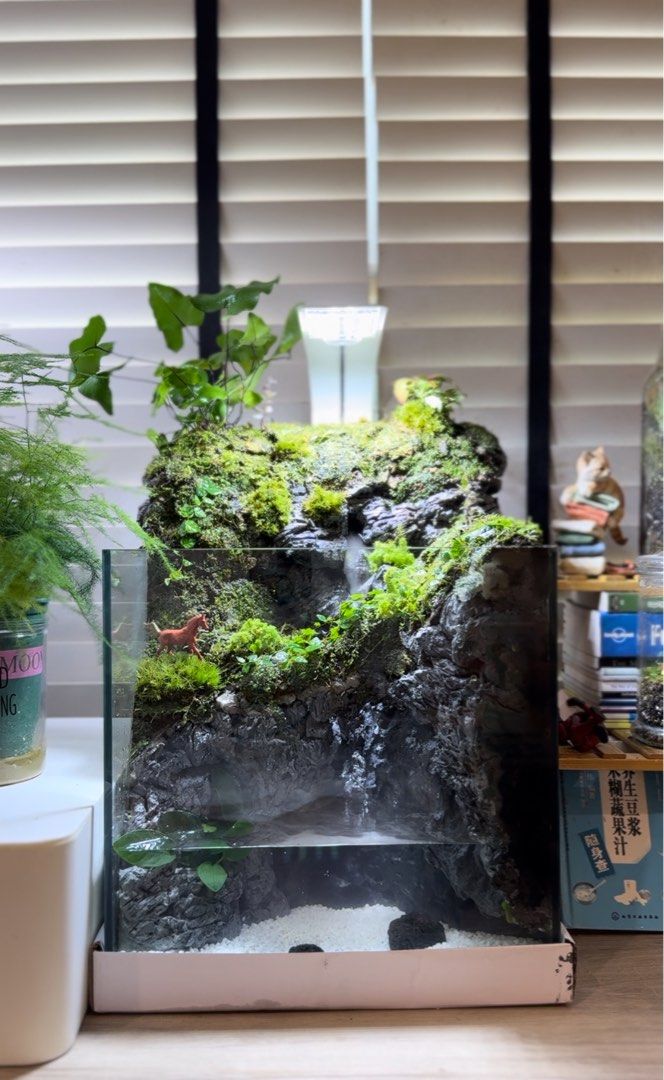#NewDesign#Paludarium#Terrarium#Waterfall#Mist Cliff, Pet Supplies ...
