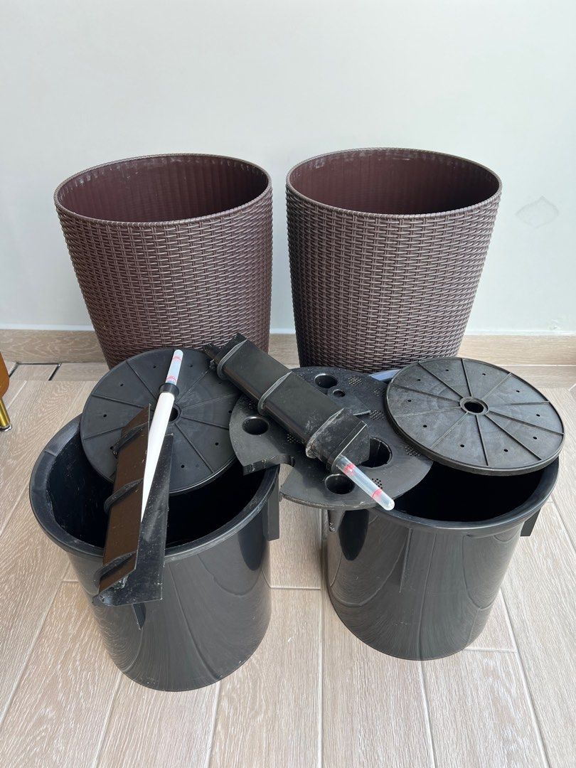 Plant pots, Furniture & Home Living, Gardening, Pots & Planters on ...