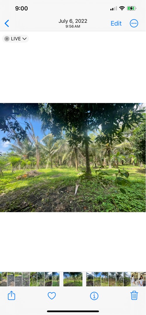 Sariaya Quezon Concepcion Palasan Farm lot for Sale, Property, For Sale ...