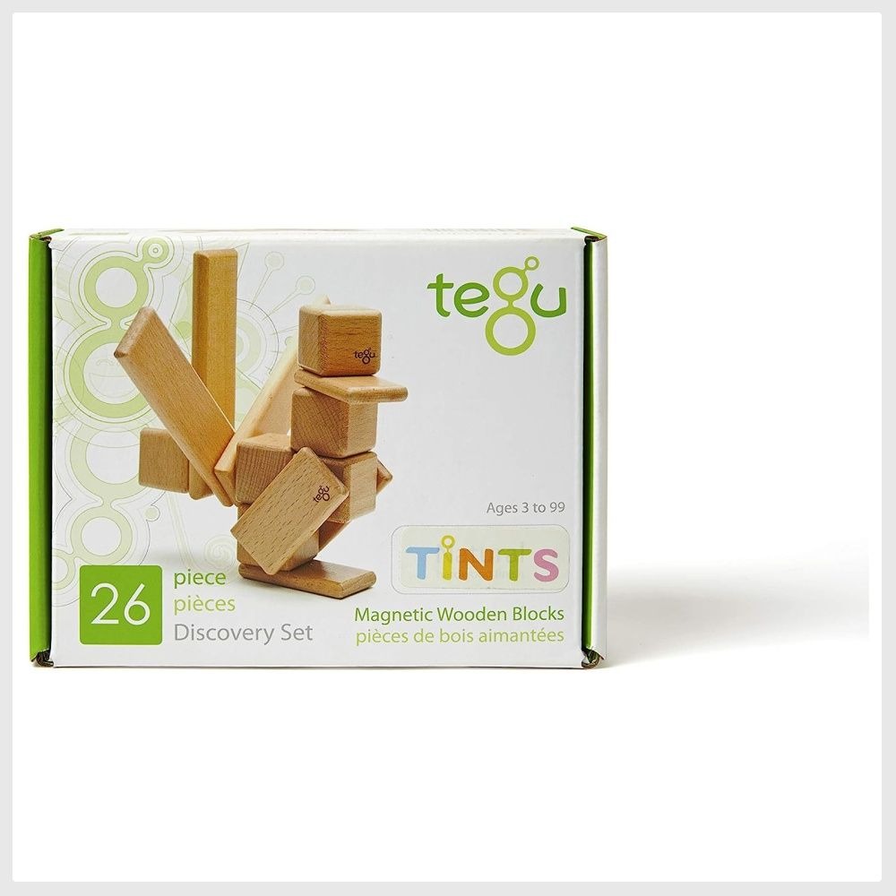 Tegu 26 Piece Tegu Discovery Magnetic Wooden Block Set, Hobbies & Toys ...
