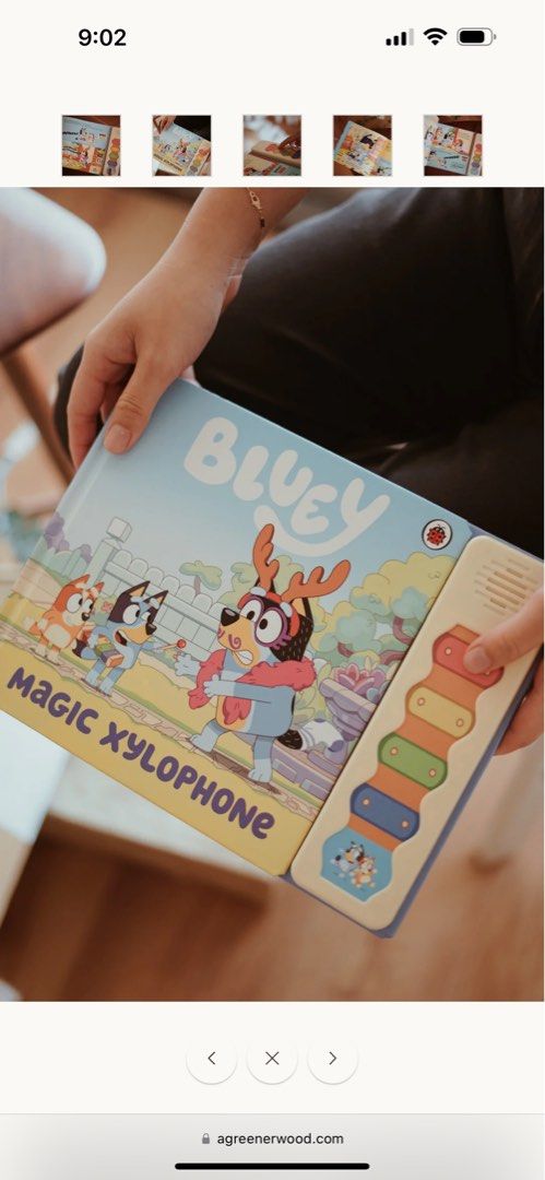 Brand new Bluey: Magic Xylophone sound book from AGW, Hobbies & Toys ...