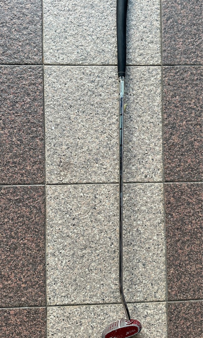 Zebra Classic Mallet Putter, Sports Equipment, Sports & Games, Golf on ...