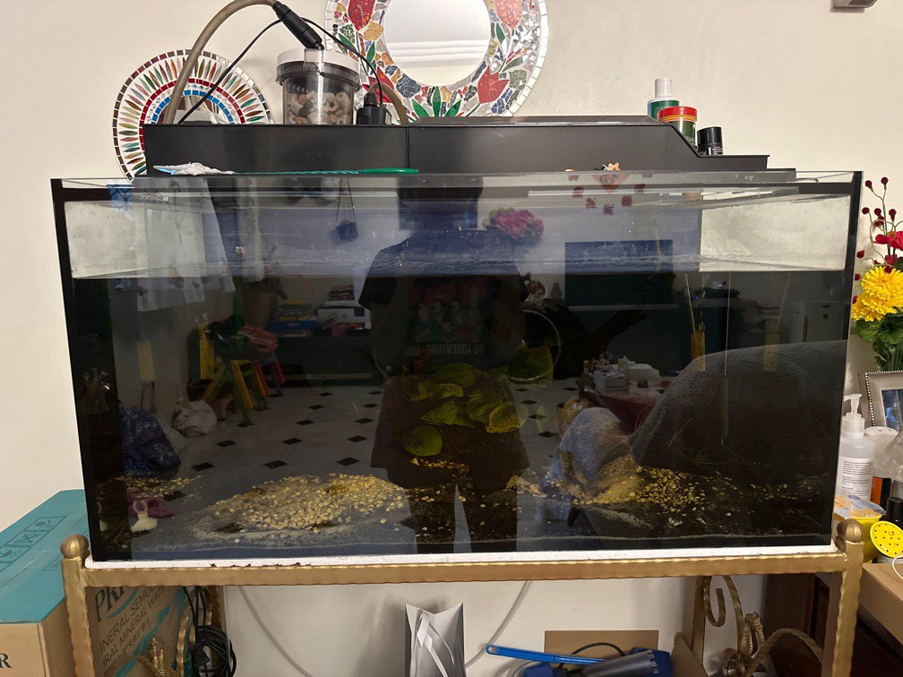 3 Feet fish tank with stand, Pet Supplies, Homes & Other Pet ...