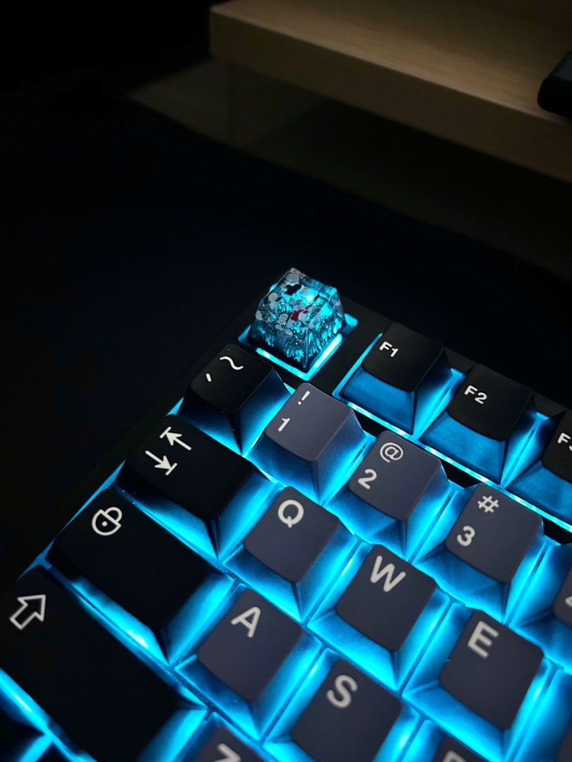 98% Custom Mechanical Keyboard - Tri Mode - Fully modded (Fisherman ...