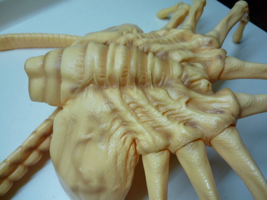 Aliens Face Hugger 1:1 Figure, 興趣及遊戲, 玩具 & 遊戲類 - Carousell