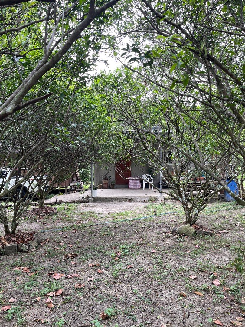 Farm Land with Vacation House and Bahay Kubo for Sale, Property, For ...