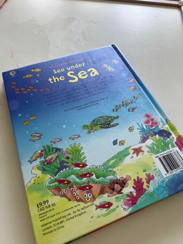 Usborne lift up flap book, Babies & Kids, Infant Playtime on Carousell