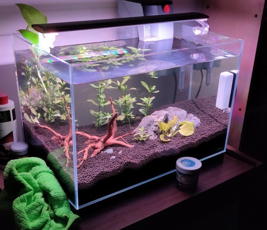 ADA Tank Aquarium, Pet Supplies, Homes & Other Pet Accessories on Carousell