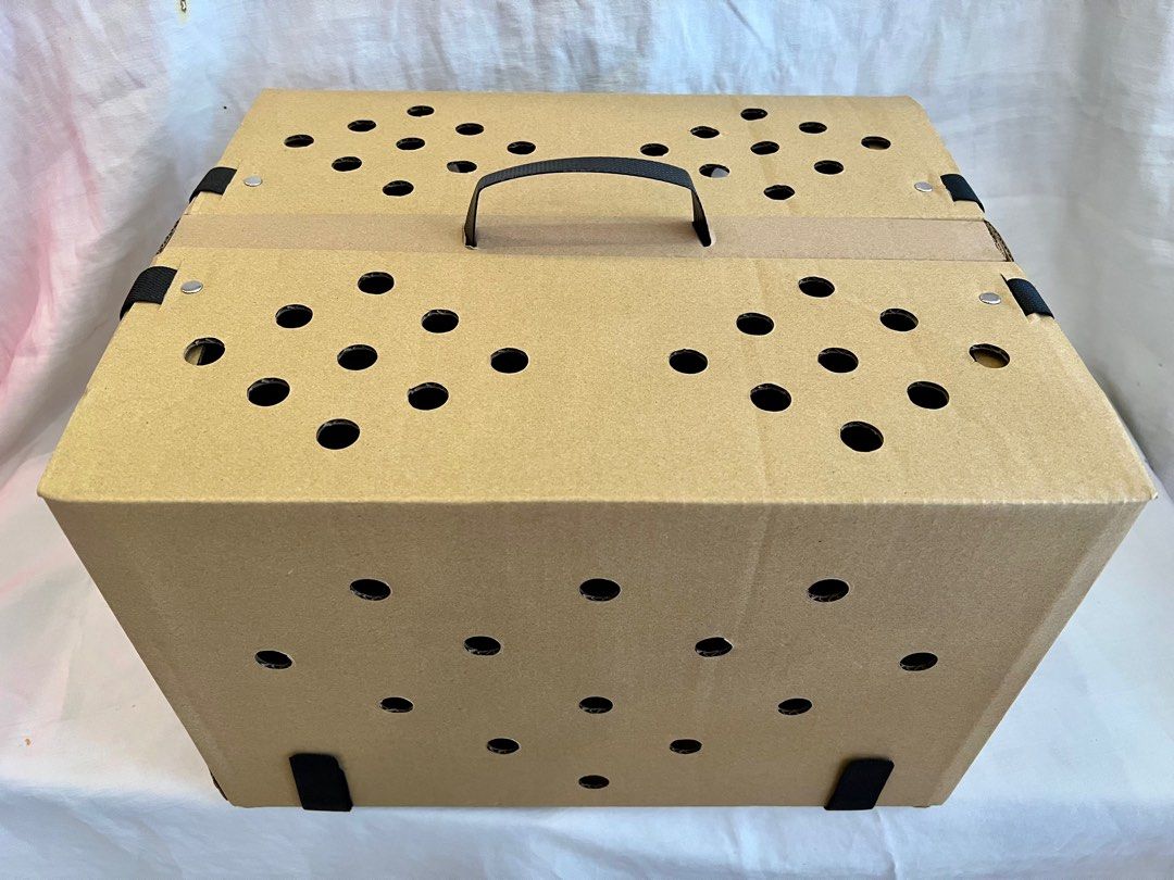 Chicken Box for gamefowl, Pet Supplies, Homes & Other Pet Accessories ...