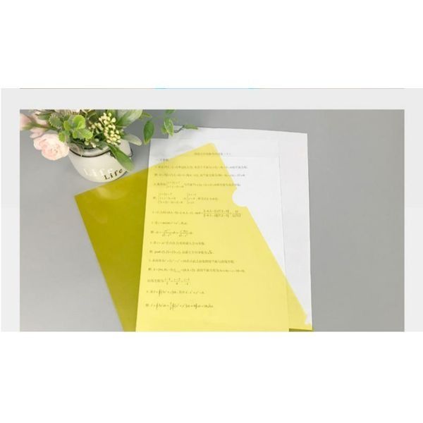 Nicard Factory Custom A4 Environmental Pp Classification Bag for ...