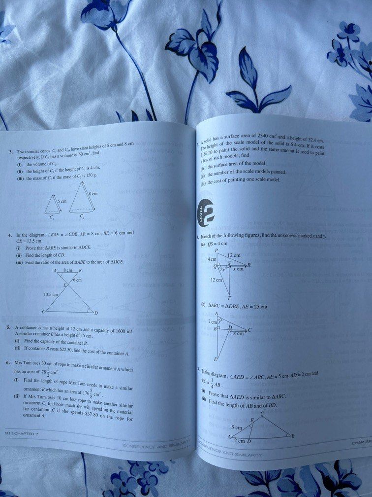 Sec 2/ IP 2 Mathematics Assessment Book, Hobbies & Toys, Books ...