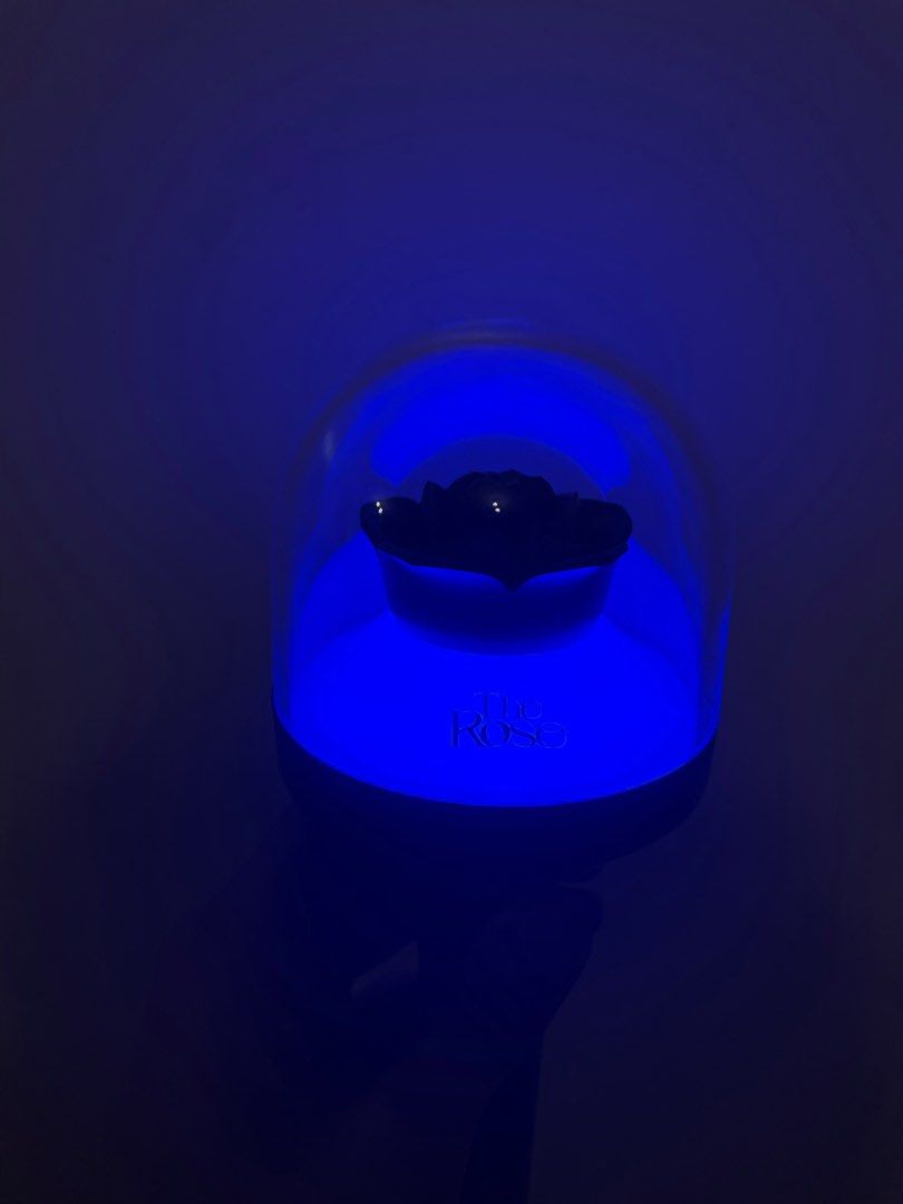 THE ROSE OFFICIAL LIGHT STICK (Preloved), Hobbies & Toys, Memorabilia ...