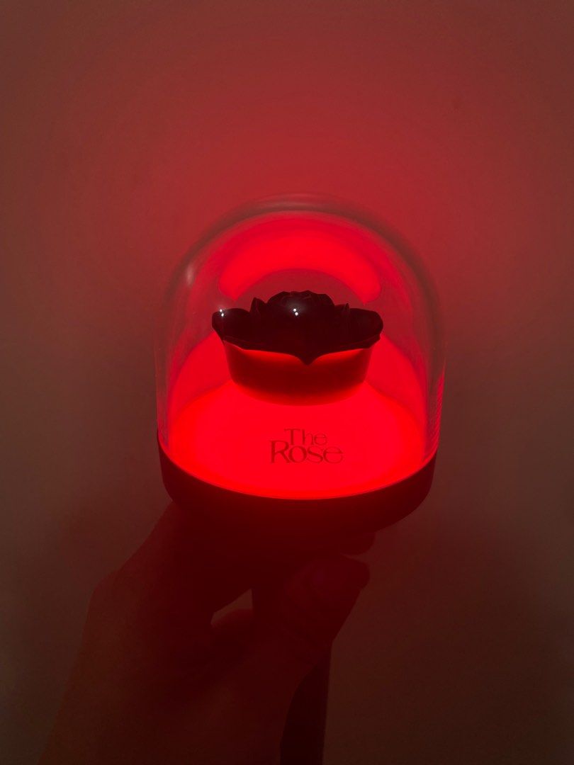 THE ROSE OFFICIAL LIGHT STICK (Preloved), Hobbies & Toys, Memorabilia ...