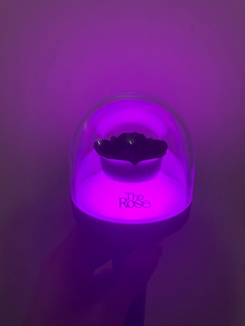 THE ROSE OFFICIAL LIGHT STICK (Preloved), Hobbies & Toys, Memorabilia ...