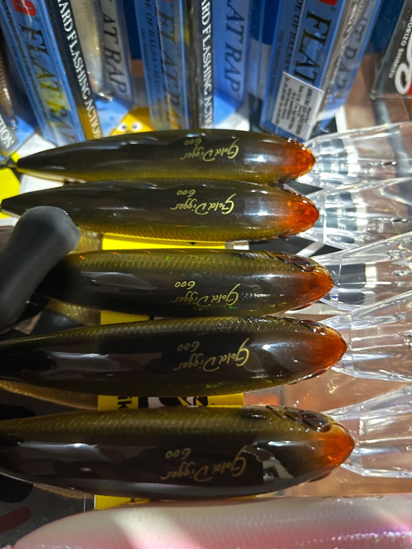 Evergreen gold digger 600 lure, Sports Equipment, Fishing on Carousell