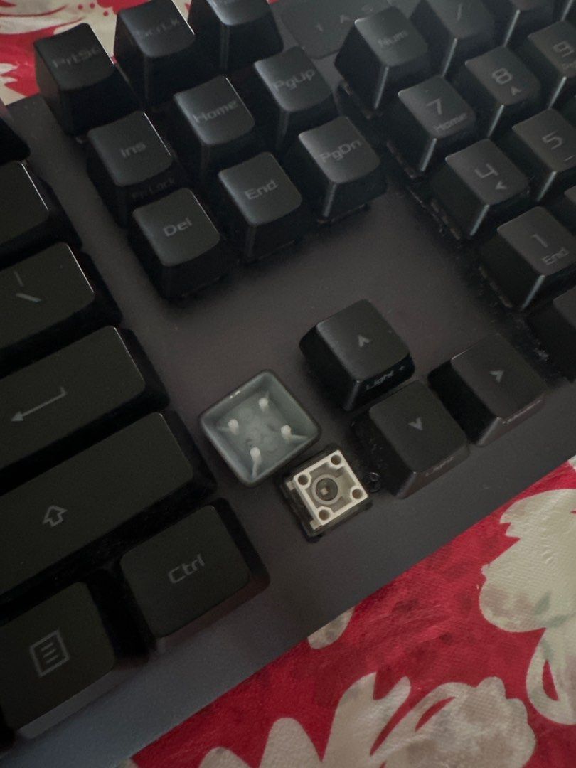 ROG Gaming Keyboard (Tactile/Linear), Computers & Tech, Parts ...