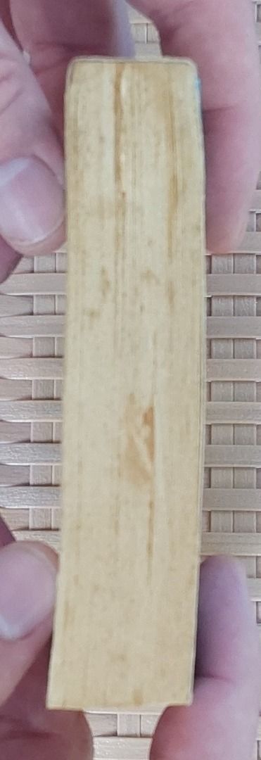 Mortal Fear by Robin Cook, 1988, (English/buku bahasa inggris), Buku ...