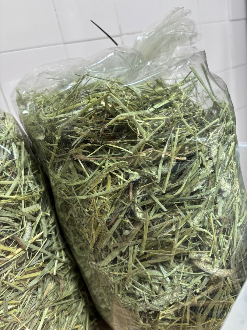 1KG SECOND CUT FRESH TIMOTHY HAY / 500G ORCHARD GRASS HAY FOR BUNNIES ...