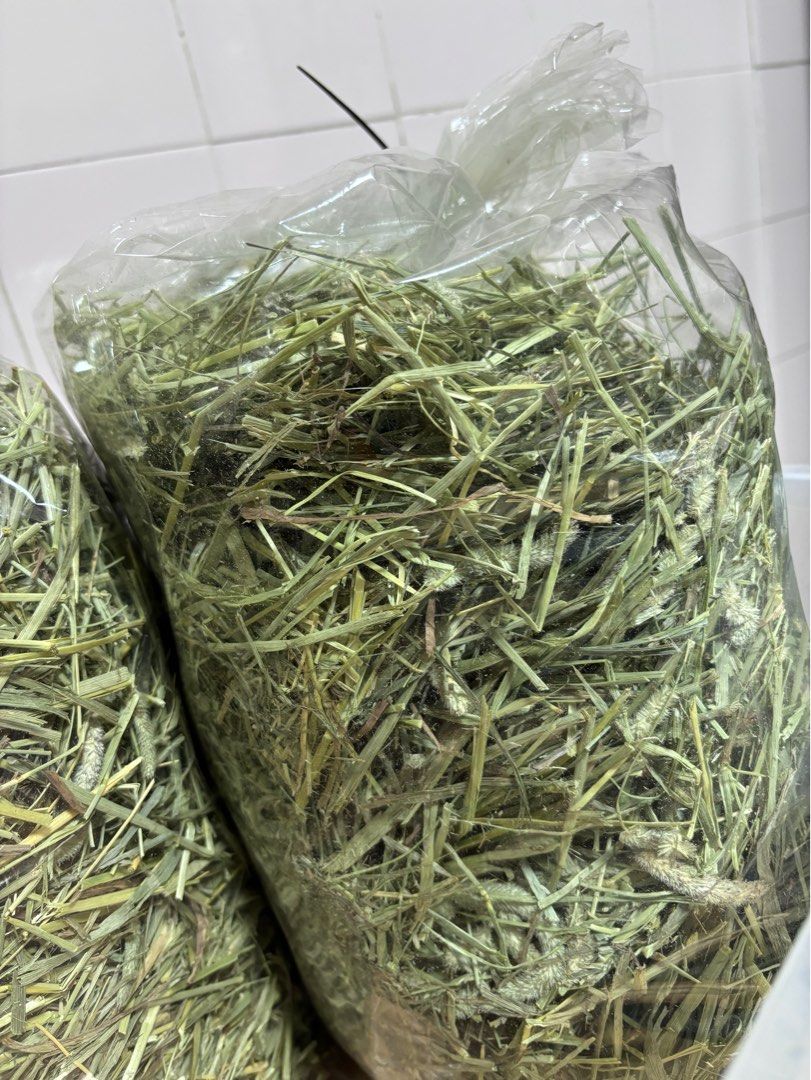 1KG SECOND CUT FRESH TIMOTHY HAY / 500G ORCHARD GRASS HAY FOR BUNNIES RABBITS SMALL ANIMALS ...