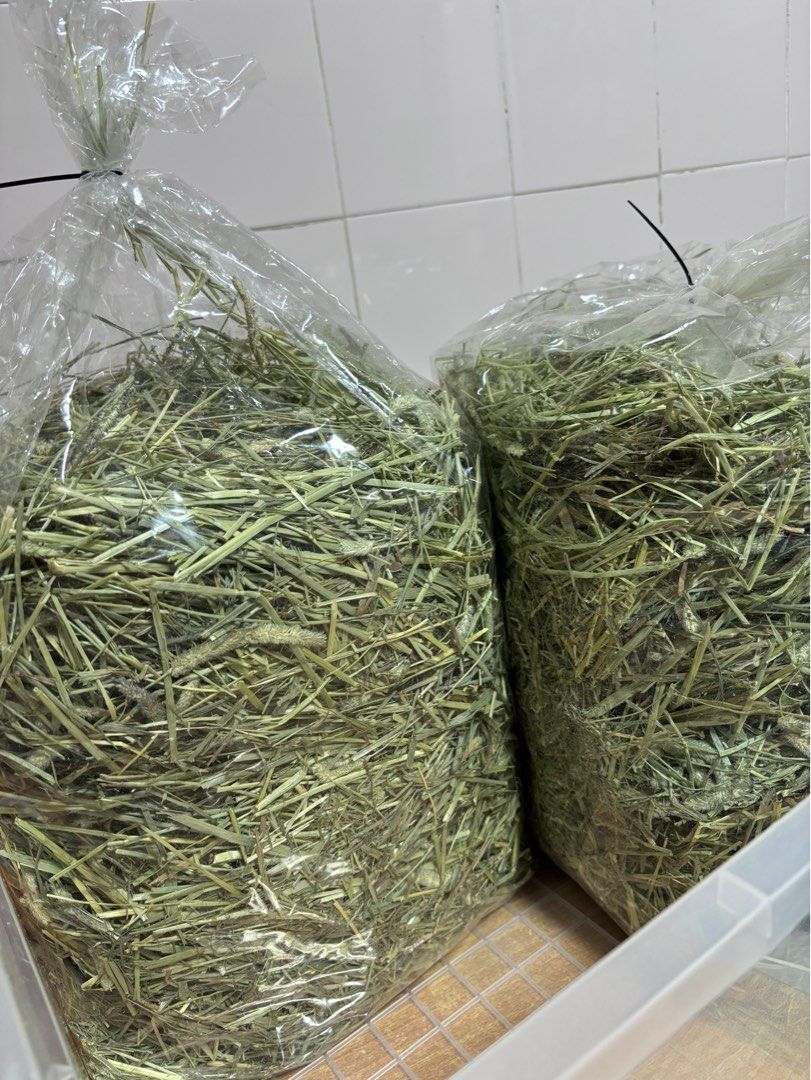 1KG SECOND CUT FRESH TIMOTHY HAY / 500G ORCHARD GRASS HAY FOR BUNNIES ...