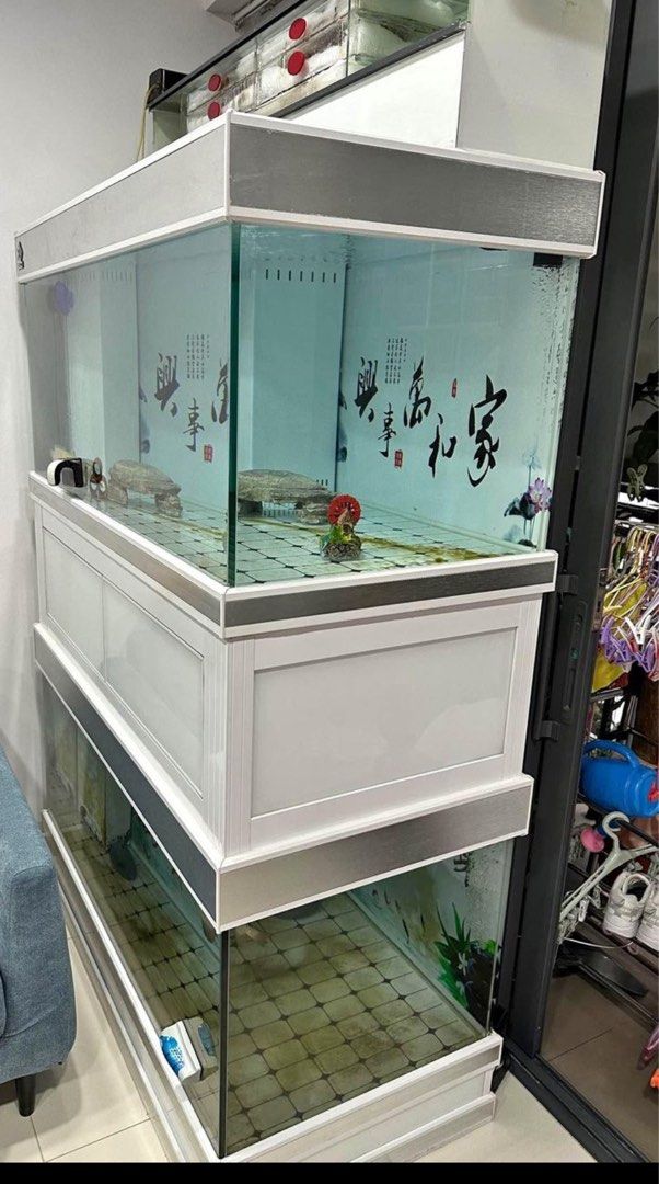 2 tier fish tank 4x2x2 including fish, Pet Supplies, Homes & Other Pet ...