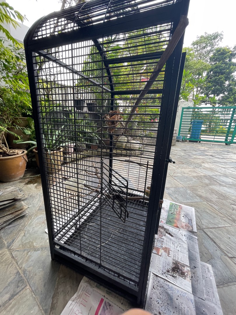 Bird cage 70 X 50 X 120, Pet Supplies, Homes & Other Pet Accessories on Carousell