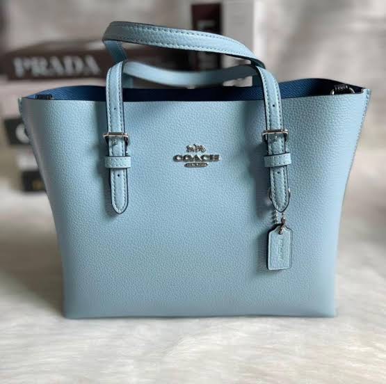 Coach Mollie Mini Tote Bag with Sling, Luxury, Bags & Wallets on Carousell