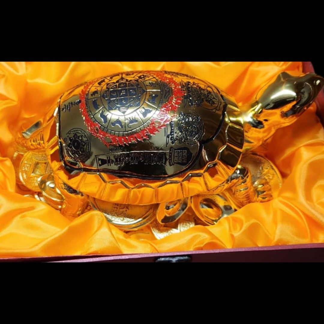 Golden Feng Shui Metal Tortoise in Brass - With Universal Tortoise ...