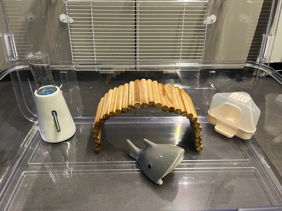 Hamster Acrylic Cage Bucastate, Pet Supplies, Homes & Other Pet ...