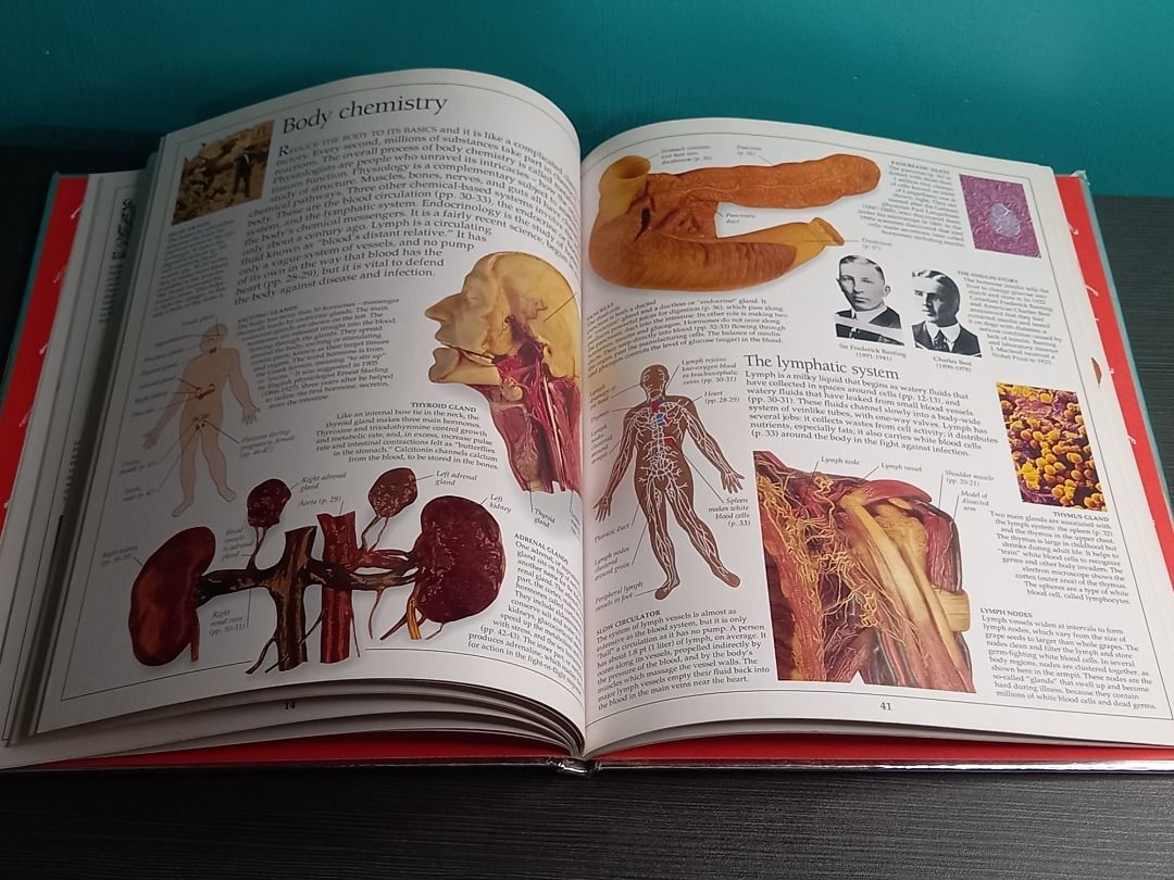 Human Body Book Eyewitness Science By Steve Parker Dorling Kindersley ...