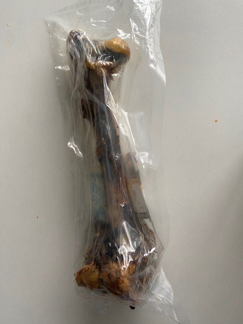 Kangaroo Femur Bone 100% natural oven roasted dog treats dog chew, Pet ...